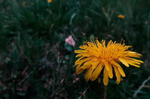 Fixing the "Unable to Find Compatibility Version String" Error in iOS ...